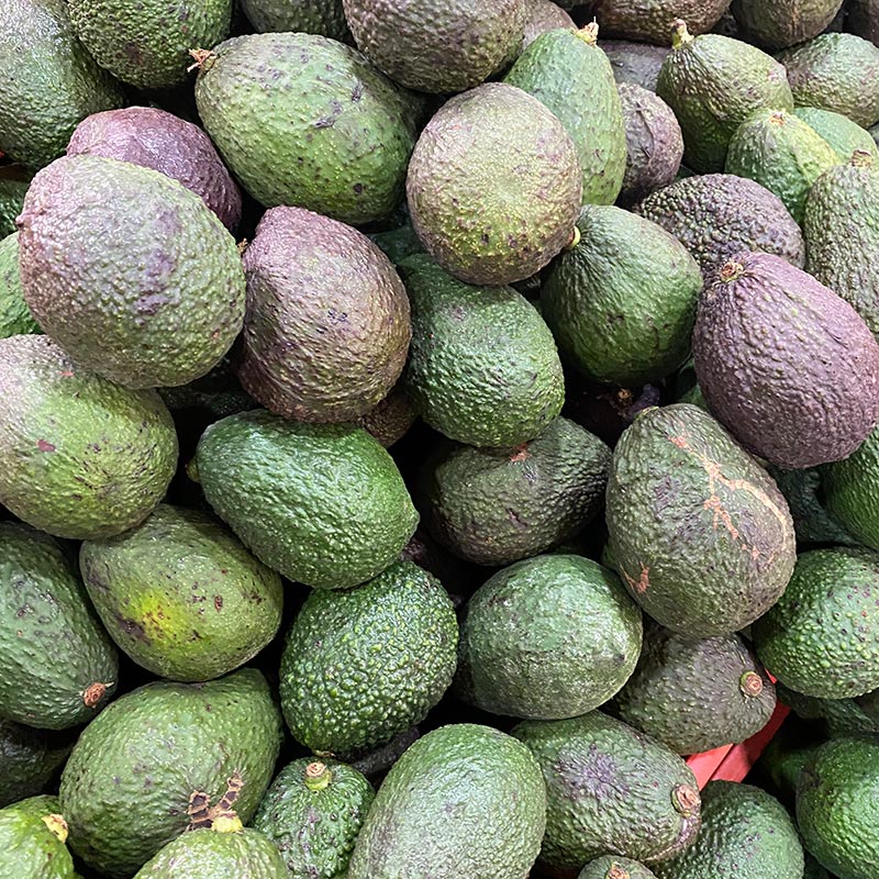 Aguacate Hass - Domicilios en toda Bogotá - PlazaMercado.co
