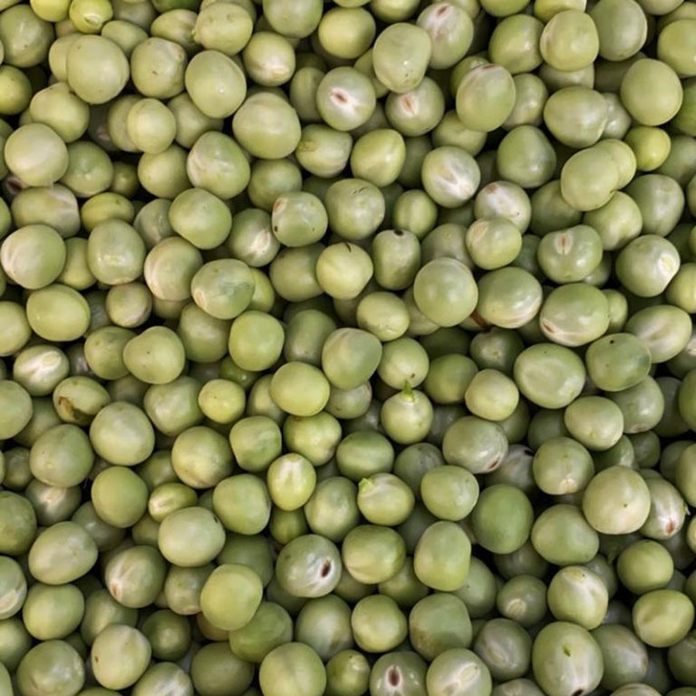 Productos Entre más cantidades lleves más descuento obtendrás ...