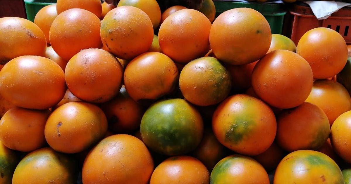 Lulo - Domicilios en toda Bogotá - PlazaMercado.co