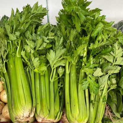 Apio - Unidad - Domicilios de frutas y verduras en toda Bogotá