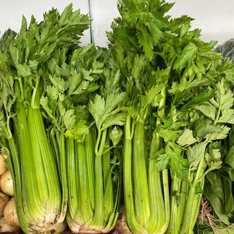 Apio - Unidad - Domicilios de frutas y verduras en toda Bogotá