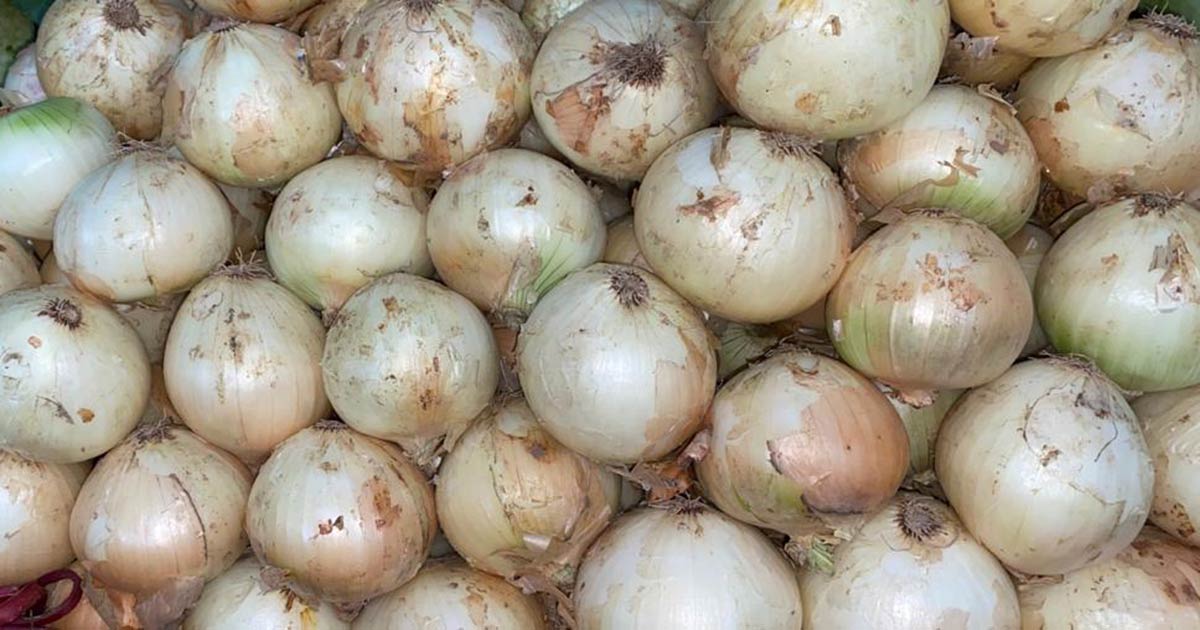 Cebolla cabezona blanca - Paloquemao - Domicilio