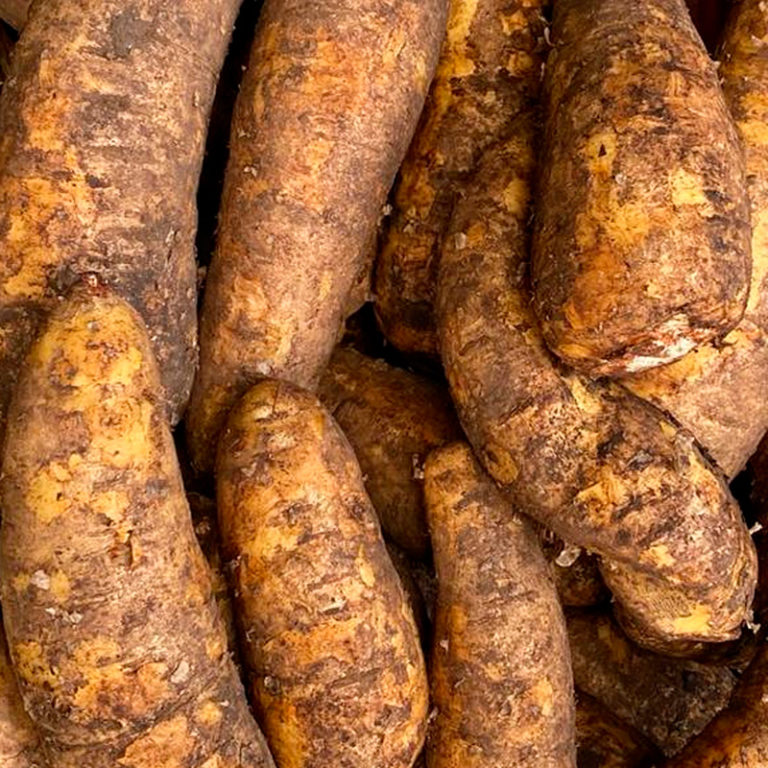 Arracacha - Plaza de Paloquemao - Domicilio entrega en 2 a 3 horas