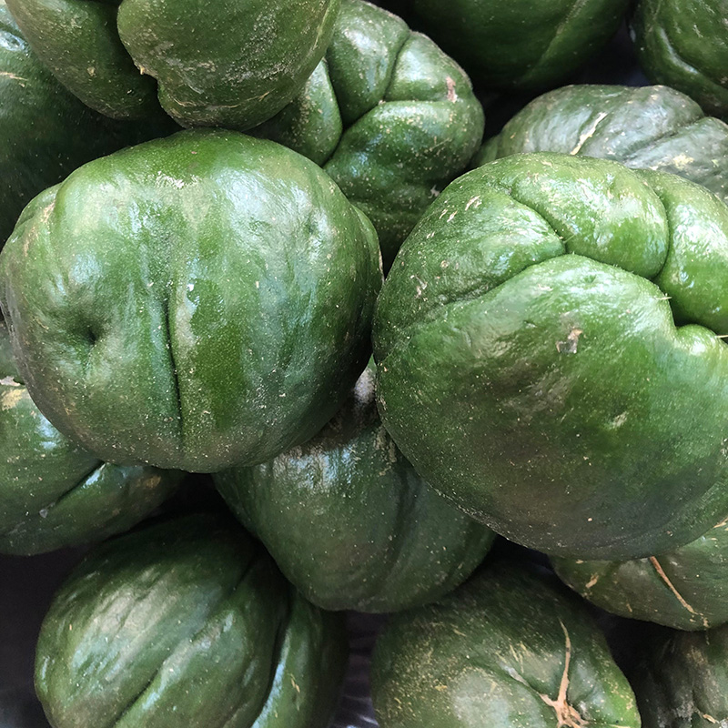 Guatila 1 Lb - Plaza de Paloquemao - Domicilios entrega de 2 a 3 horas