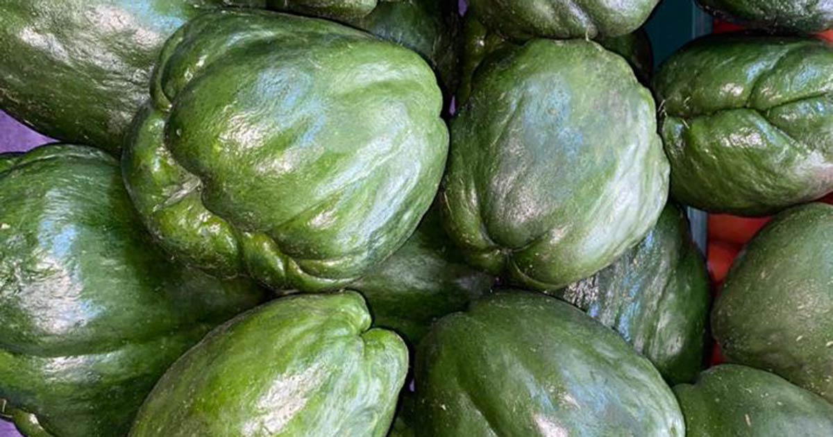 Guatila 1 Lb - Plaza de Paloquemao - Domicilios entrega de 2 a 3 horas