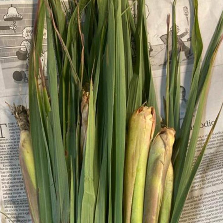 Limonaria - Paloquemao - Domicilio entrega en 2 a 3 horas