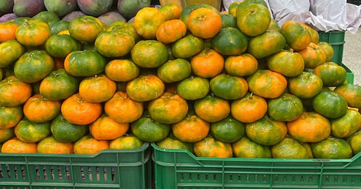Mandarina Arrayana - Domicilios en toda Bogotá - Plazamercado.co