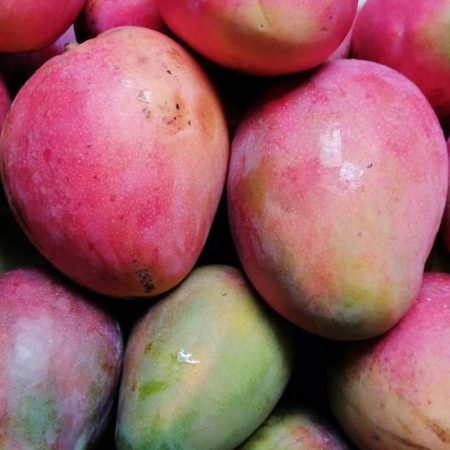 Domicilios - Plaza de mercado de Paloquemao - Frutas y verduras frescas