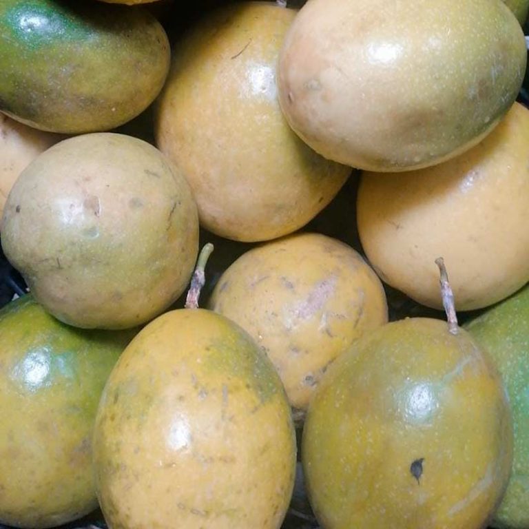 Maracuyá - Domicilios en toda Bogotá - PlazaMercado.co