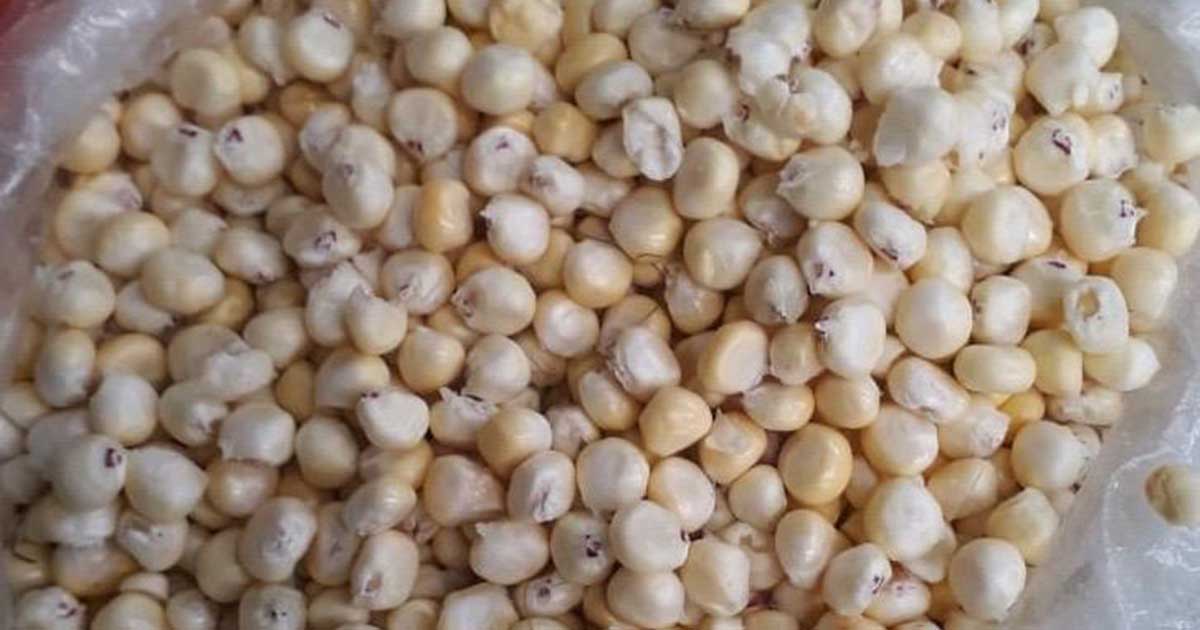 Corn kernels (sabanera) - Paloquemao - Deliveries in 2-3 hours