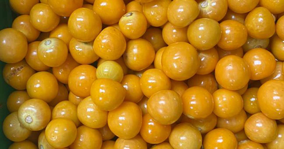 Uchuva - Domicilios en toda Bogotá - Plazamercado.co