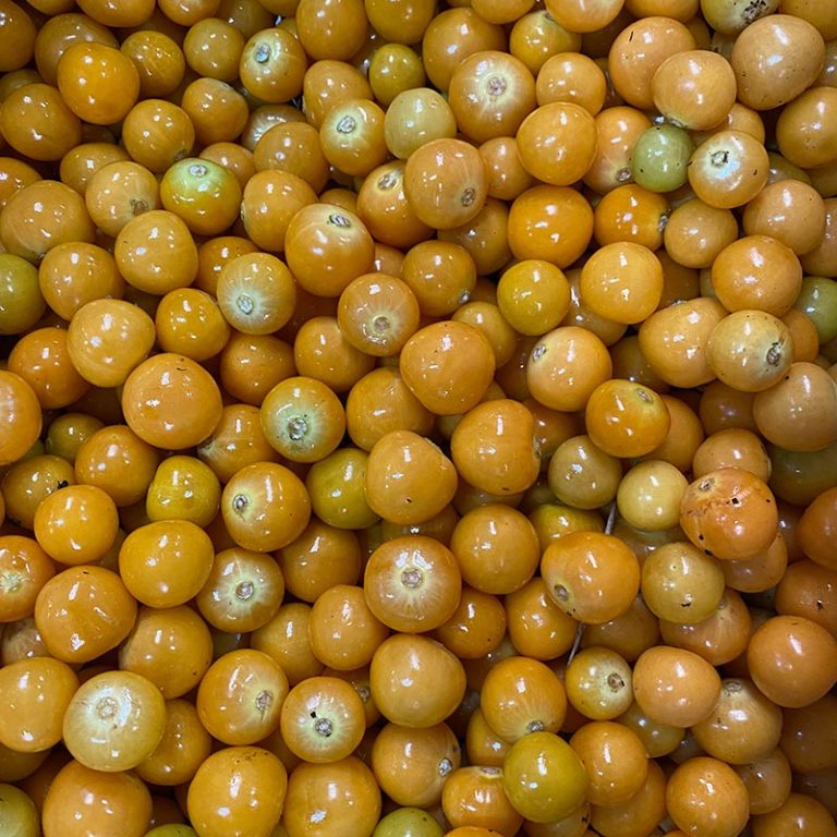Uchuva - Domicilios en toda Bogotá - Plazamercado.co