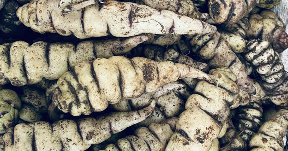 Cubios - Domicilios en toda Bogotá - Plazamercado.co