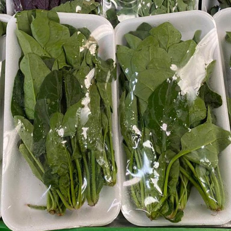 Espinaca baby hidropónica - Domicilios de frutas y verduras