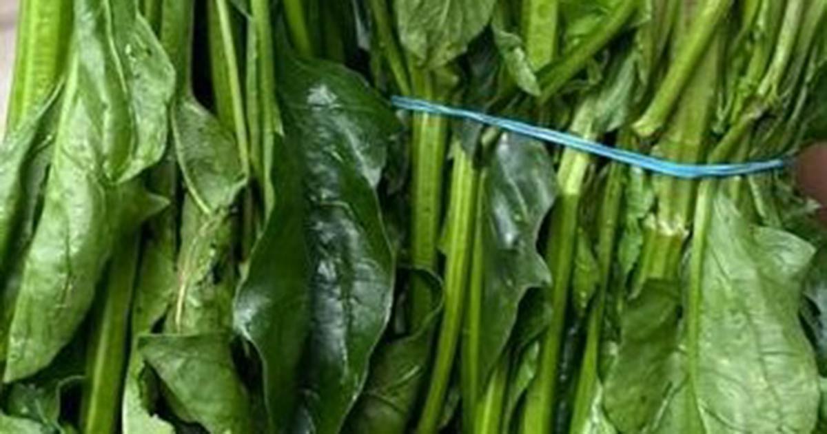 Espinaca - Domicilios de frutas y verduras en toda Bogotá