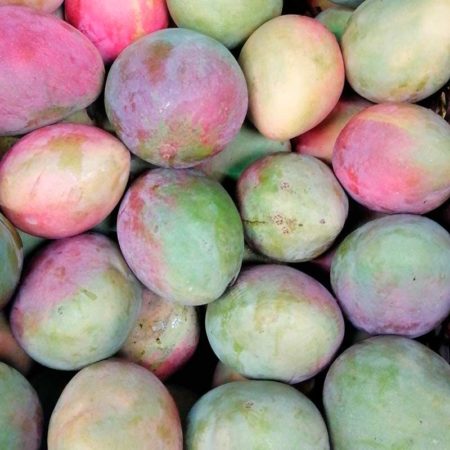 Domicilios - Plaza de mercado de Paloquemao - Frutas y verduras frescas