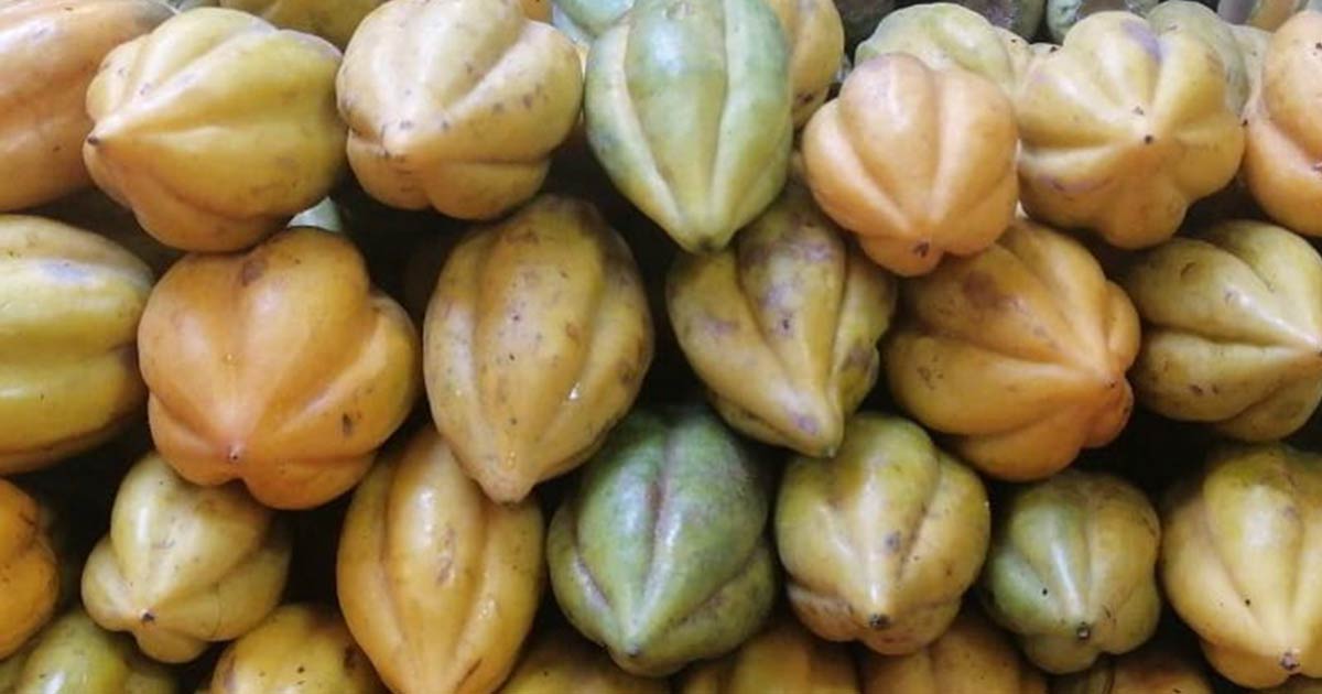 Papayuela - Domicilios en toda Bogotá - PlazaMercado.co