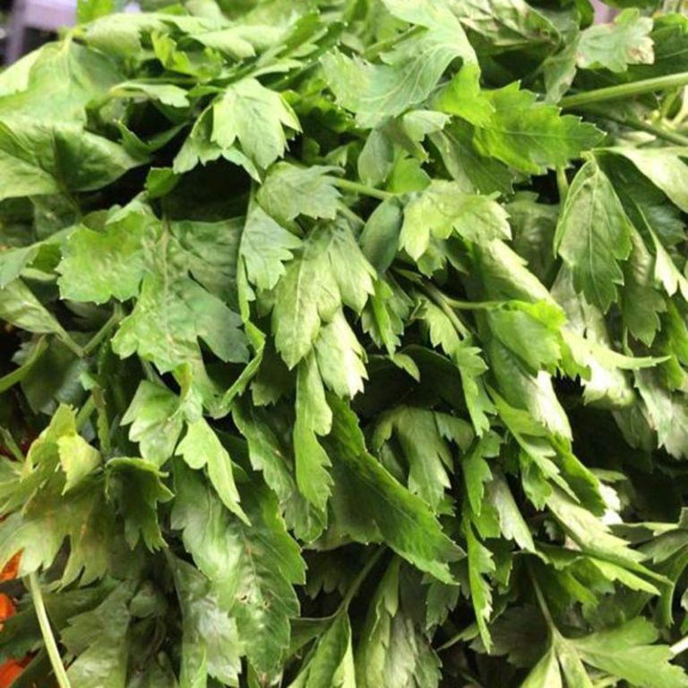 Perejil - Domicilios de frutas y verduras en toda bogotá