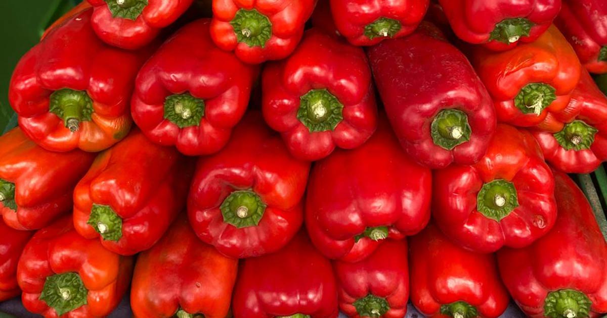 Pimentón rojo - Domicilios en toda Bogotá - PlazaMercado.co