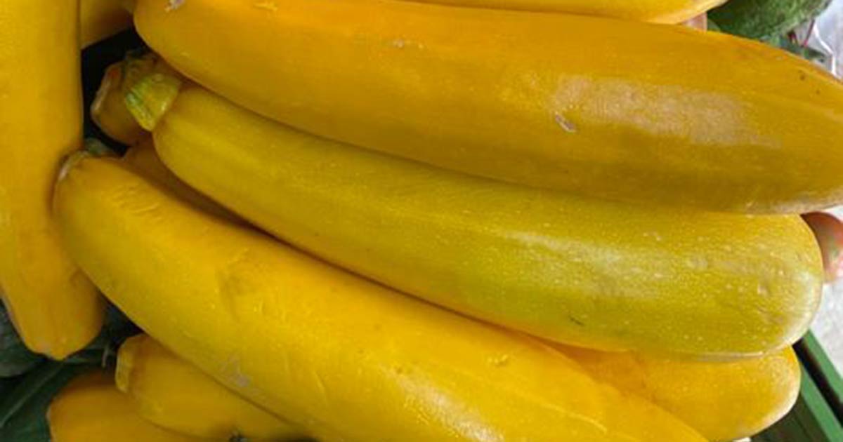 Zucchini amarillo - Domicilios de frutas y verduras en toda bogotá