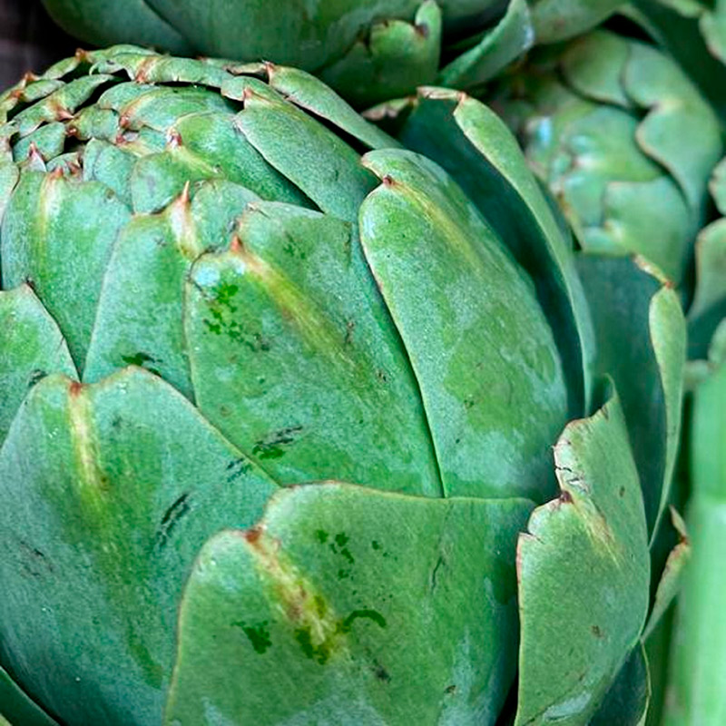 Alcachofa - Domicilios en Bogotá - Plazamercado.co