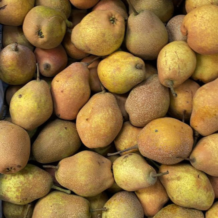 Productos Entre más cantidades lleves más descuento obtendrás ...