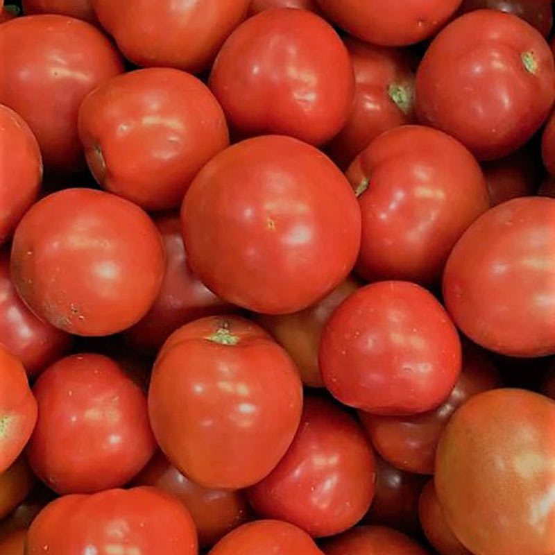 Tomate-chonto