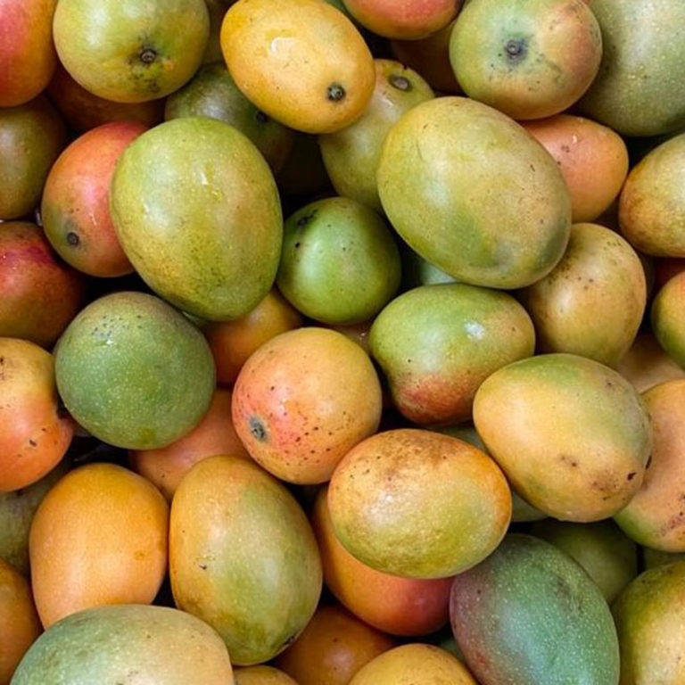 Productos Entre más cantidades lleves más descuento obtendrás ...