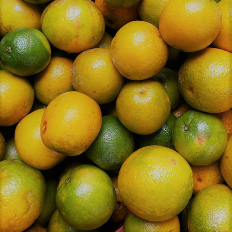 Naranja kilo - Domicilios en toda Bogotá - PlazaMercado.co