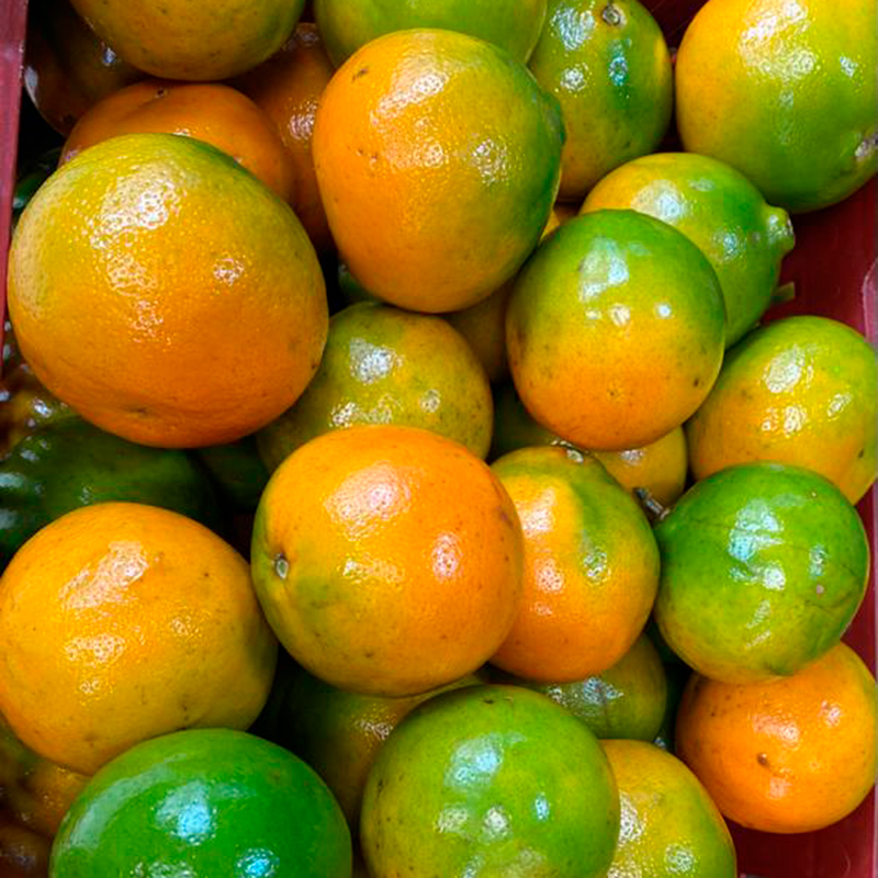 De Plaza Mercado Paloquemao a su casa - De Plaza de Mercado a su casa ...