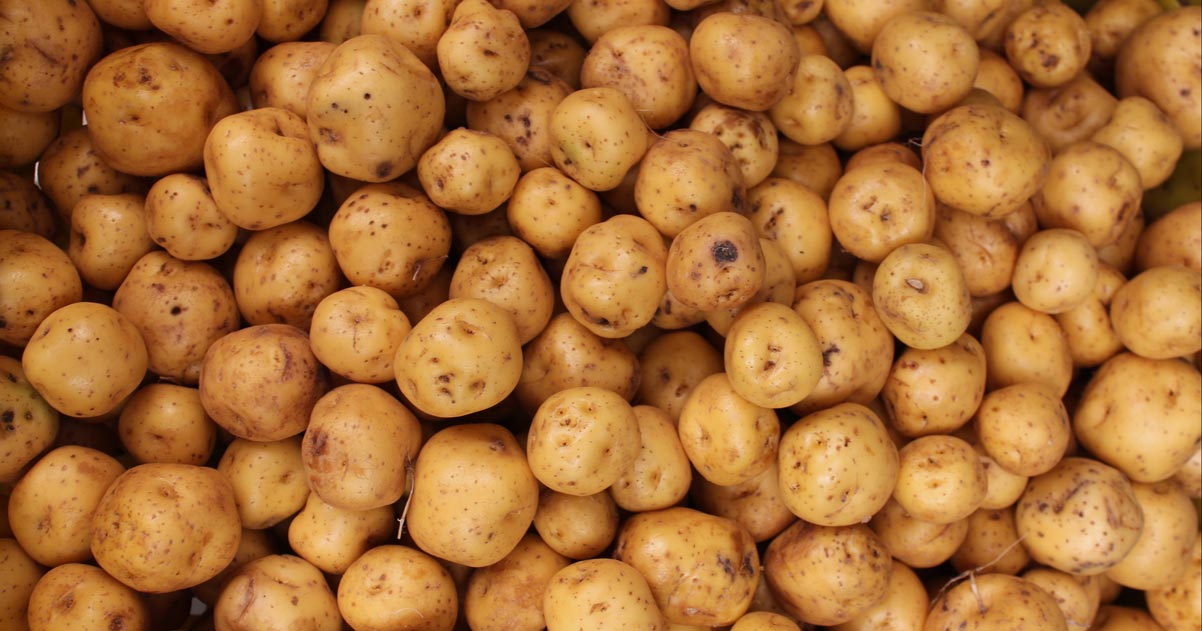 Papa criolla - Domicilios en toda Bogotá - PlazaMercado.co