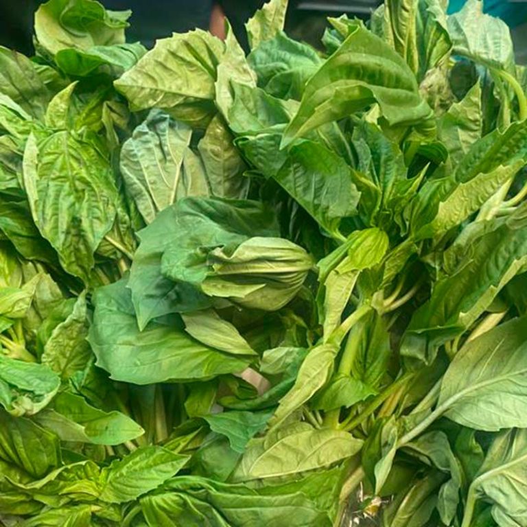 Albacon - Domicilios en toda Bogotá - PlazaMercado.co