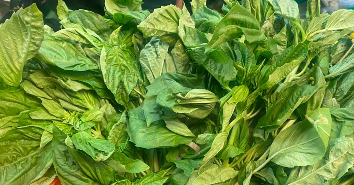 Albacon - Domicilios en toda Bogotá - PlazaMercado.co