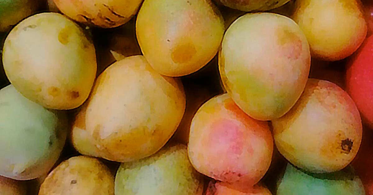 Mango de azúcar - Domicilios en toda Bogotá - PlazaMercado.co