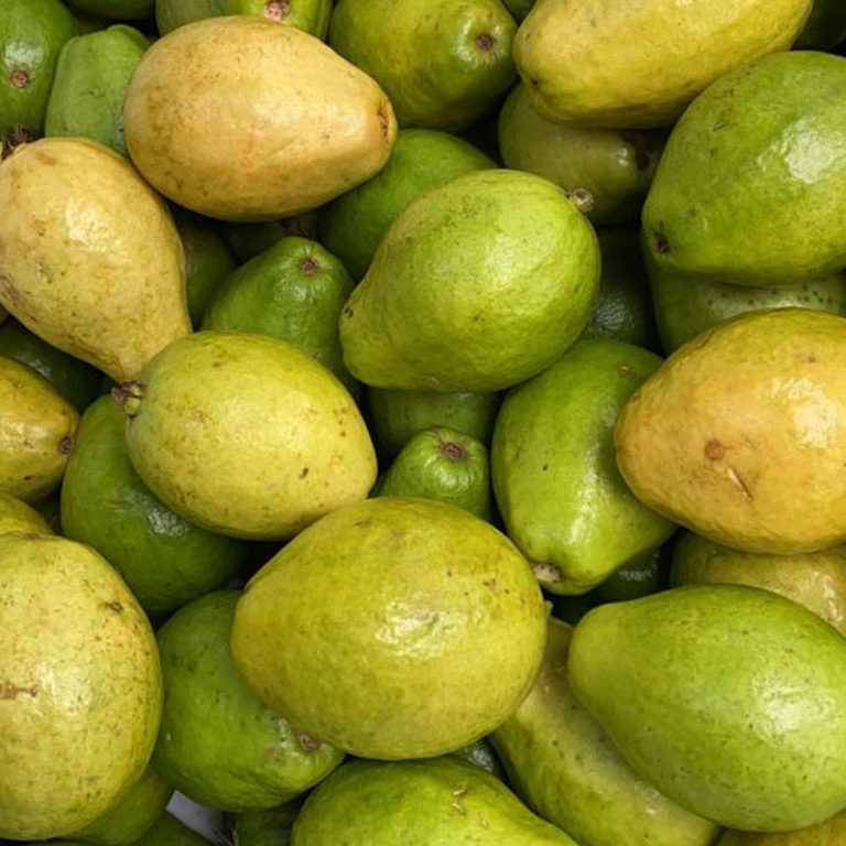 Productos Entre más cantidades lleves más descuento obtendrás ...