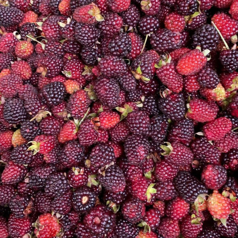 Productos Entre más cantidades lleves más descuento obtendrás ...