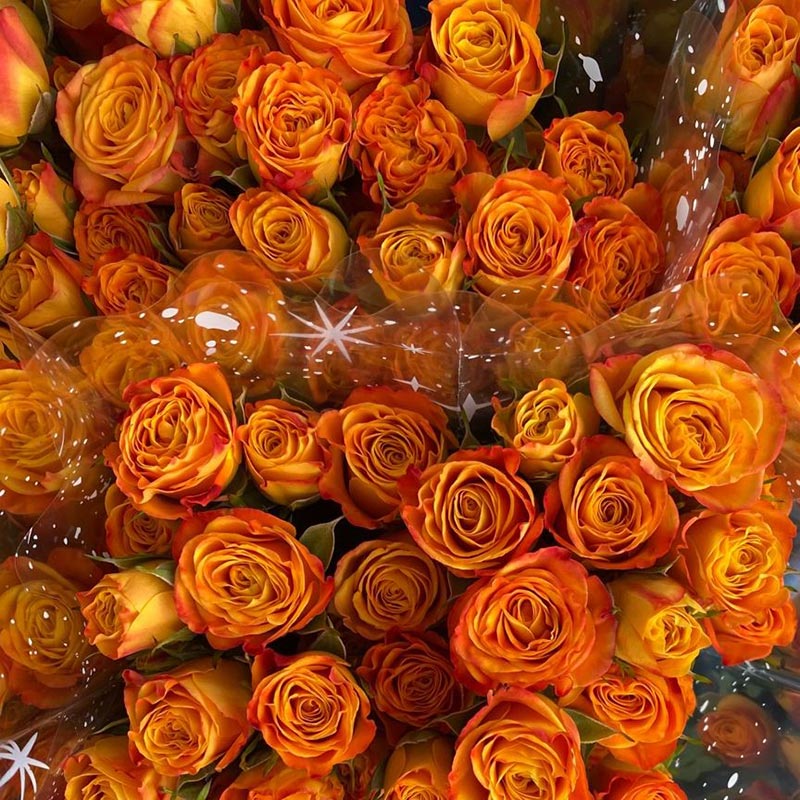 Rosas mini naranja - Domicilio de frutas y verduras en toda Bogotá