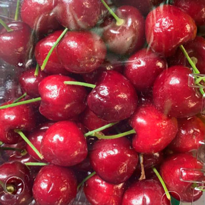 Productos Entre más cantidades lleves más descuento obtendrás ...