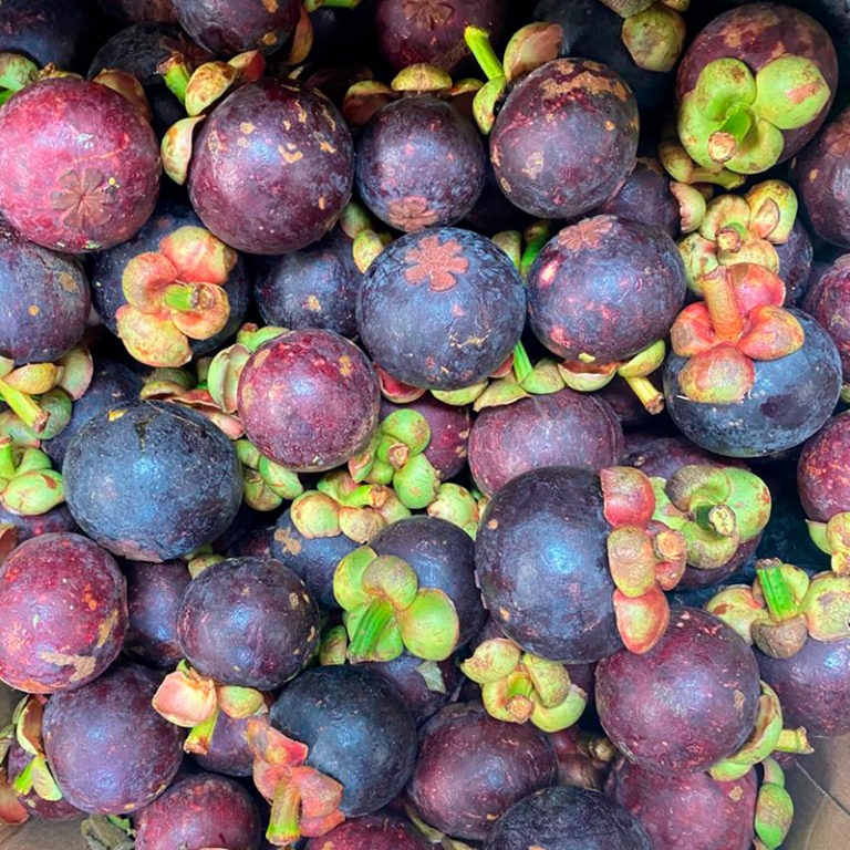 Mangostinos en Cosecha - Domicilios de frutas y verduras