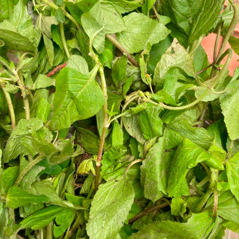 Guascas - Domicilios de frutas y verduras - Bogotá